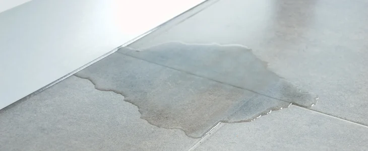 Freak Lances Project